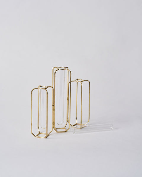 Buy Glass Vase Test Tube Online: Test Tube Vase (Set of 3) for Home ...
